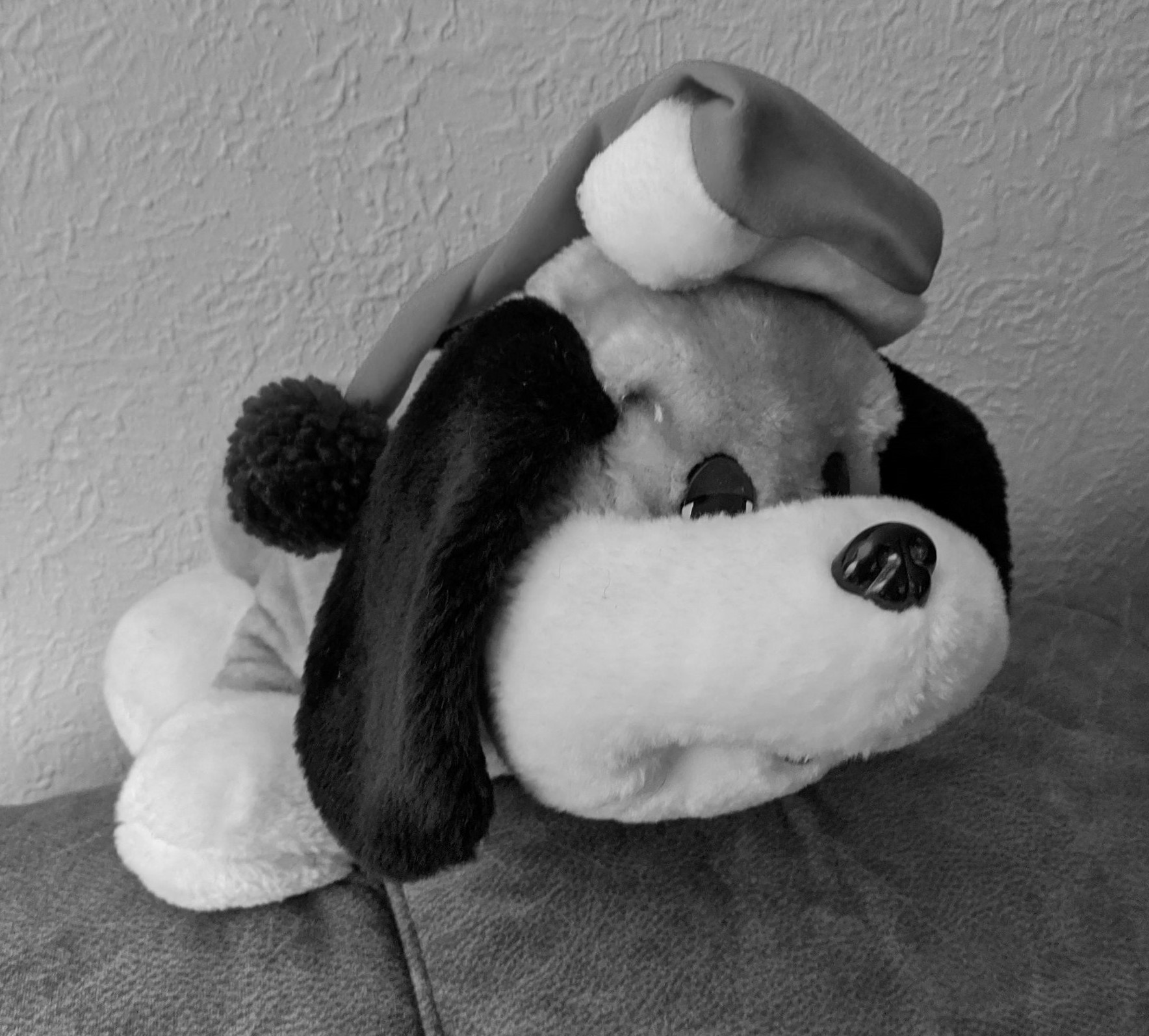 BW Dog – For the Love of