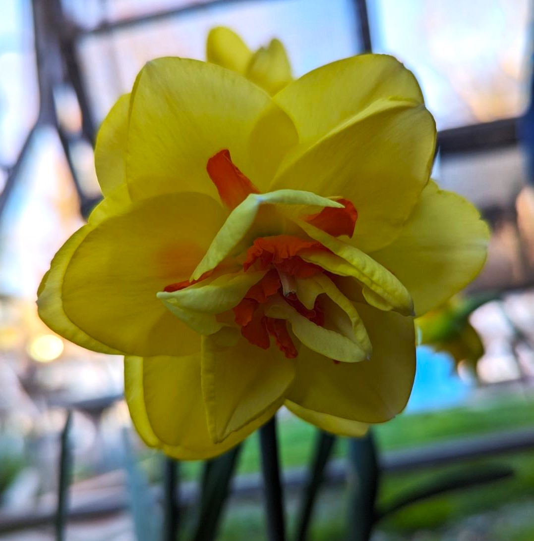 FOTD, April 8, Emergence – For the Love of